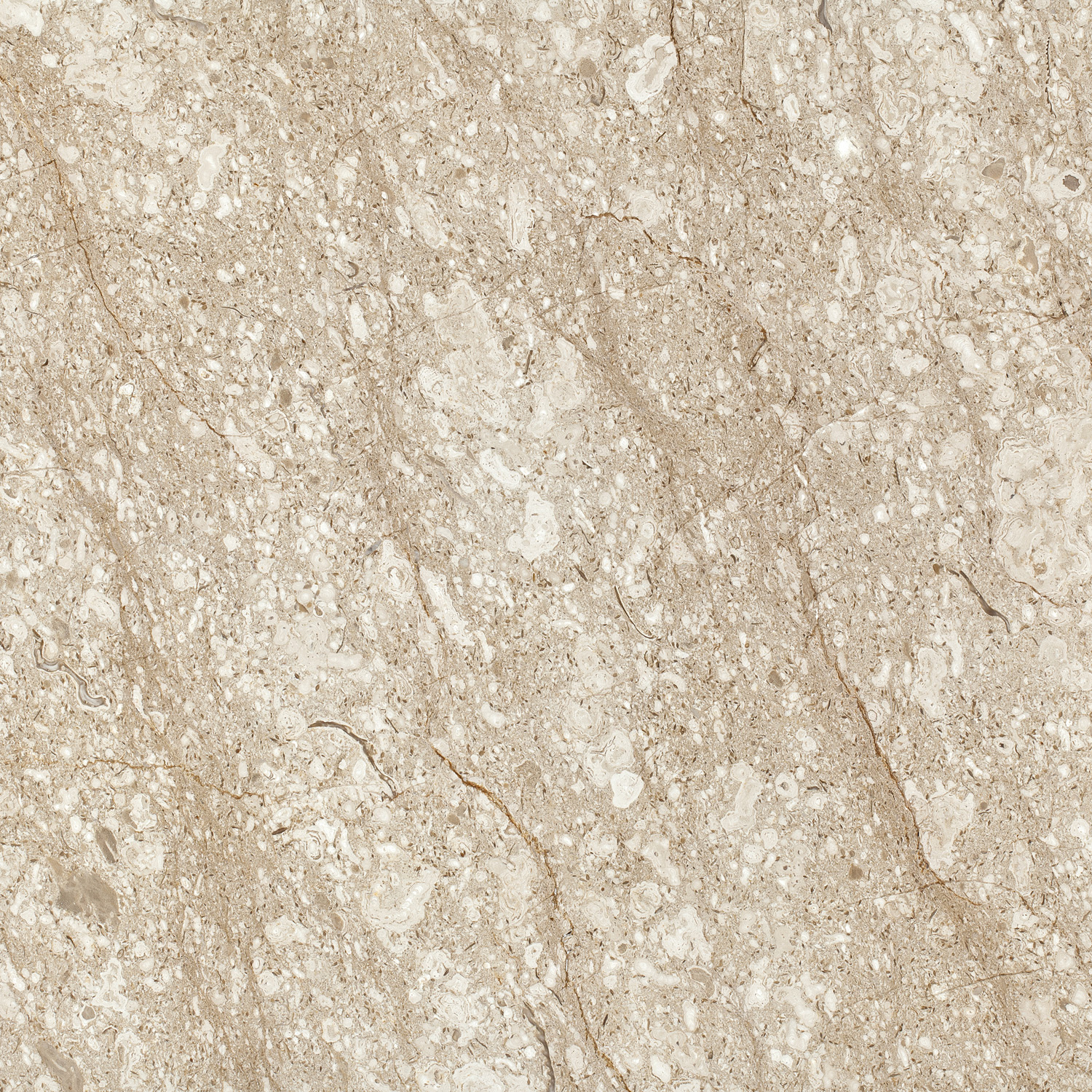 Lyca Beige - Place of Origin Turkey, Color Beige, Marble - Stone World
