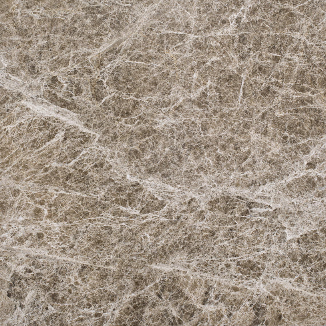 Dark Patara - Place of Origin Turkey, Color Beige, Marble - Stone World